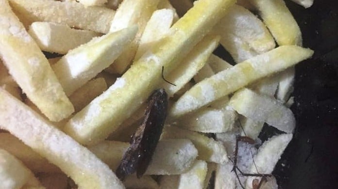 Família encontra barata em pacote de batata frita congelada - Pragas e ...